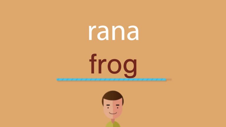 Descubre cómo se dice rana en inglés y mejora tu vocabulario en este ...