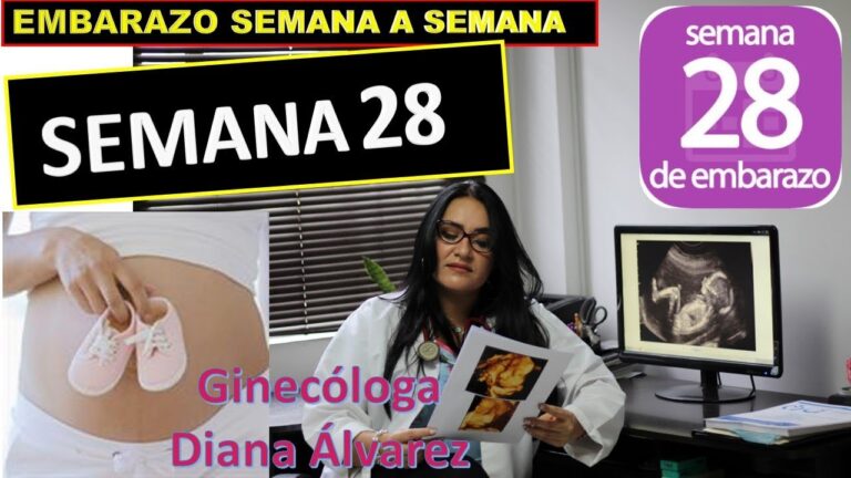 ¿Cuánto pesa un bebé a las 28 semanas de gestación? Descubre el peso ...