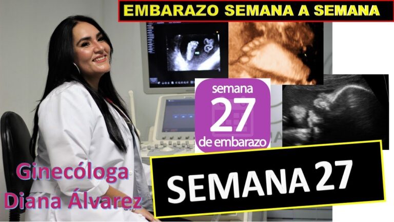 Todo lo que necesitas saber sobre el dolor bajo vientre en la semana 27 ...